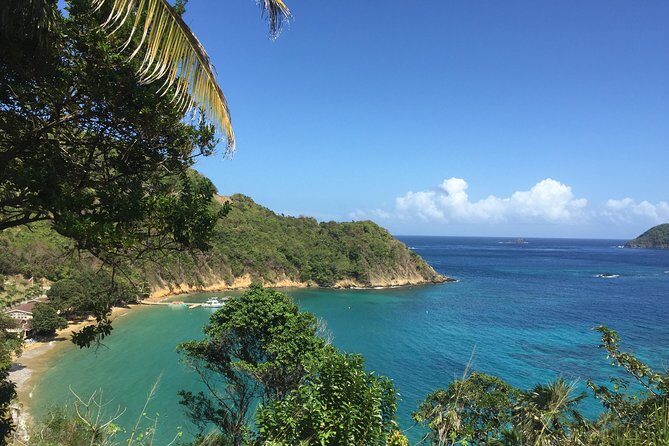 Design your own individual excursion - An In-Depth Look at the Tobago Private Tour Experience