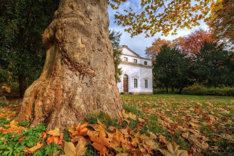 Dessau: In the footsteps of Paul Klee - The Itinerary and What to Expect