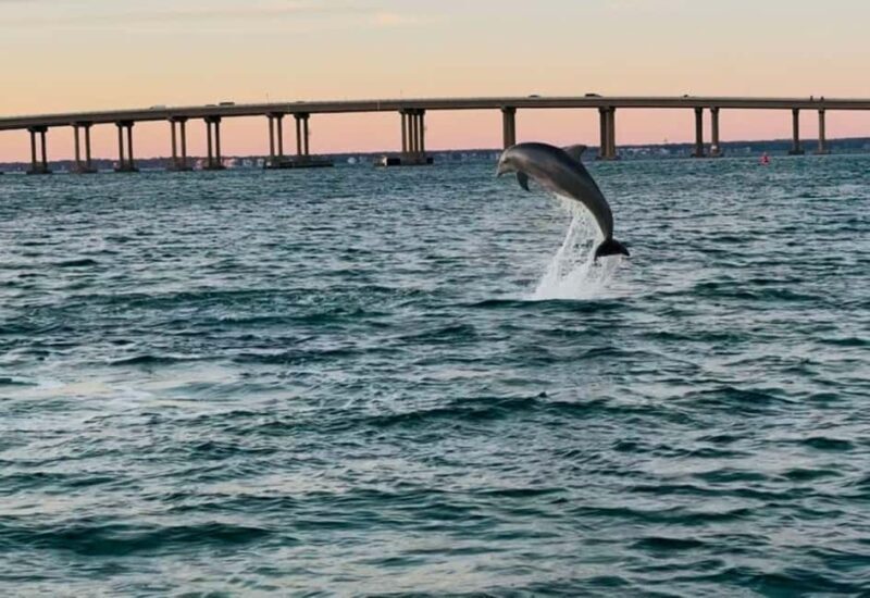 Destin: 90-Minute Boat Ride With Cruise Destin Bay - Discover the Charm of a 90-Minute Boat Ride in Destin