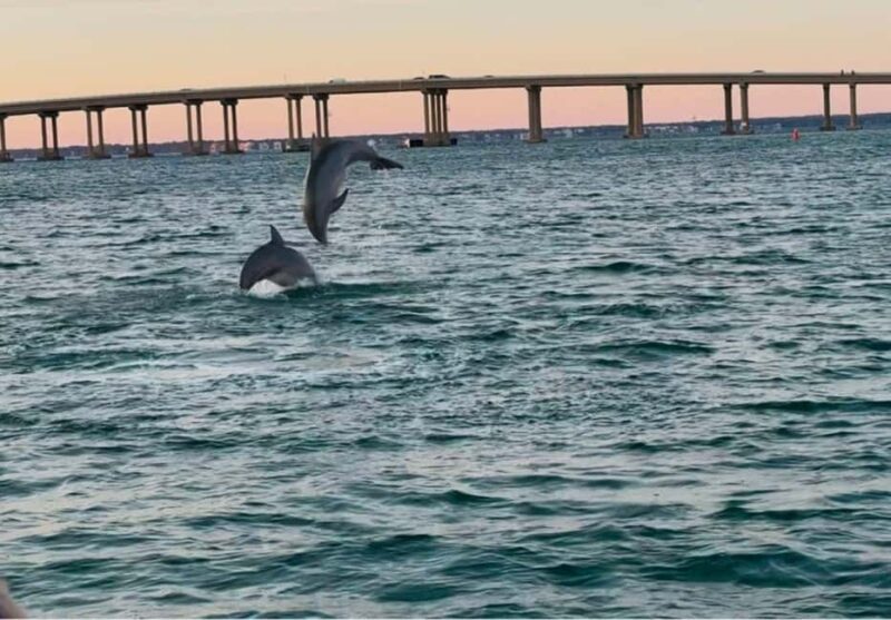 Destin: 90-Minute Boat Ride With Cruise Destin Bay - Key Points