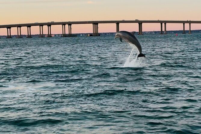 Destin Boat Ride with Cruise Destin Bay - Key Points