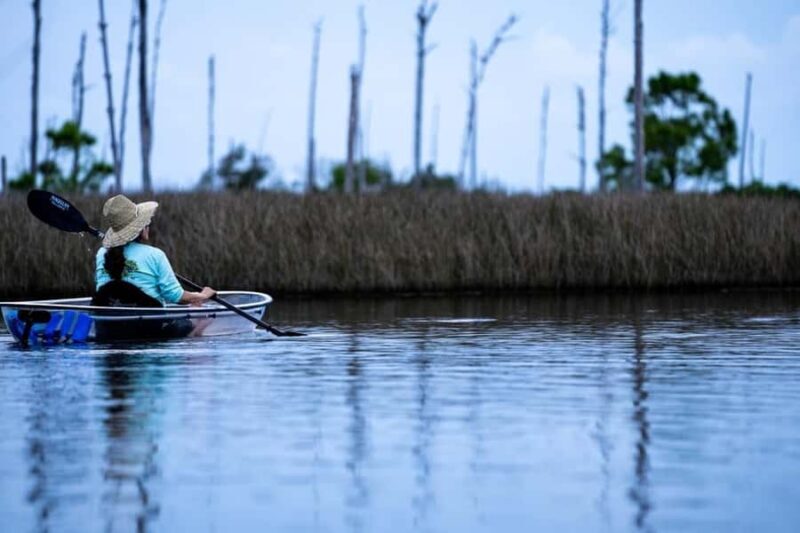 Destin: Clear Kayak Eco Tour with Island Stops - Discovering the Natural Beauty of Destin’s Emerald Coast