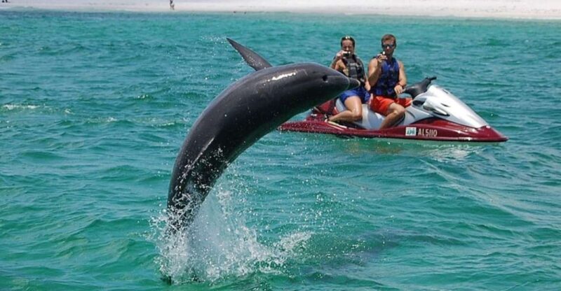 Destin: Crab Island Dolphin Watching Jet Ski Tour - Destin: Crab Island Dolphin Watching Jet Ski Tour
