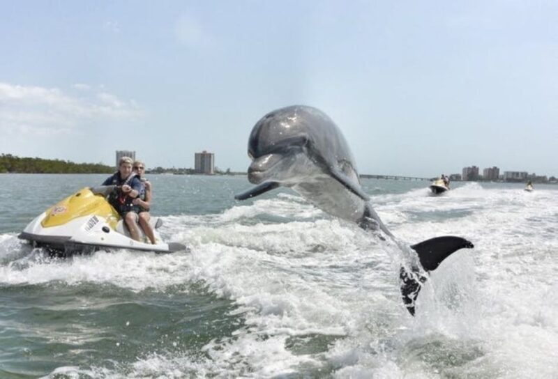 Destin: Crab Island Dolphin Watching Jet Ski Tour - FAQs