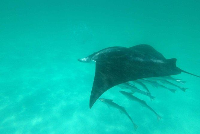 Destin Dolphin Cruise - Setting Sail in Destin: What to Expect