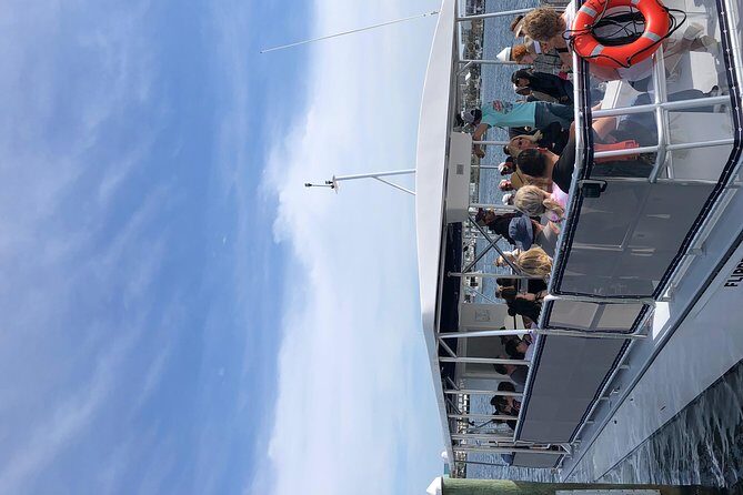 Destin Dolphin Cruise - Final Thoughts: Who Should Consider This Tour?