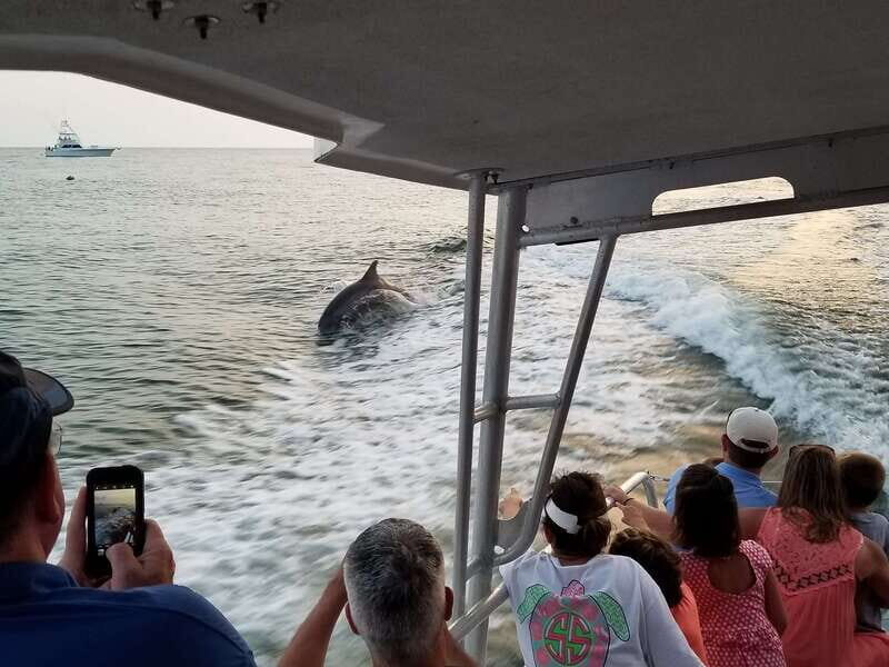 Destin: Dolphin Watching Cruise - Frequently Asked Questions