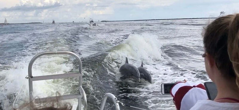 Destin: Dolphin Watching Cruise - Real Experiences from Travelers