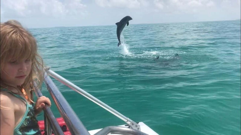 Destin: Dolphin Watching Cruise - Practical Tips for Your Dolphins Cruise