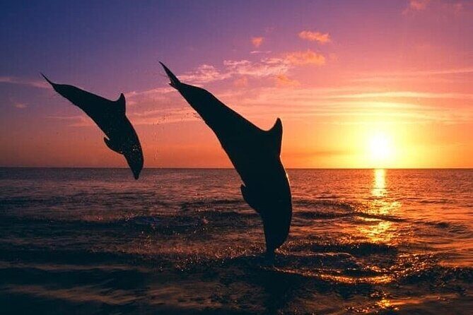 Destin Family Friendly Dolphin Watching Adventure - Who would enjoy this tour?
