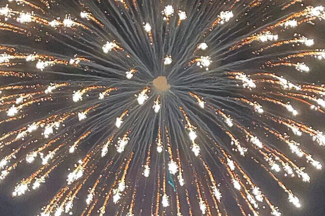 Destin Fireworks Cruise - Who Is It Best For?