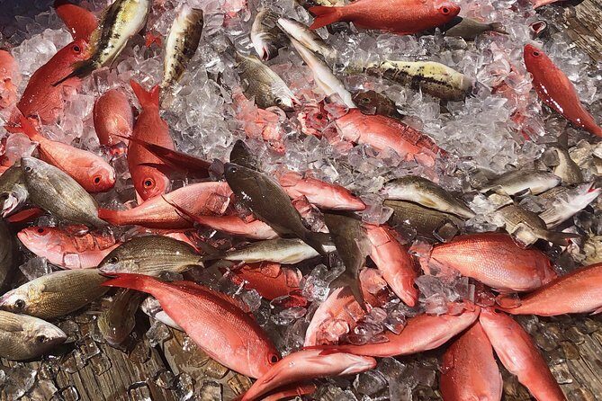 Destin: Party and Walk-On Fishing trip - Practical Tips for Future Participants