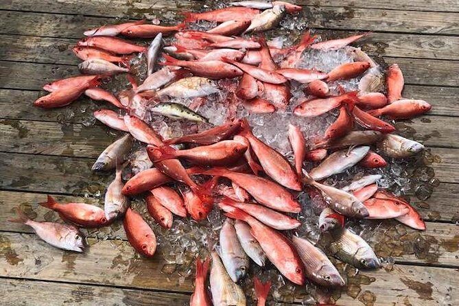 Destin: Party and Walk-On Fishing trip - Who Is This Trip Best For?