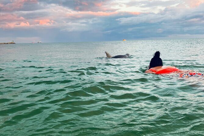 Destin Private Boat Tours Dolphin Crab Island Snorkel Sunset - Exploring Destin Private Boat Tours: Dolphin, Crab Island, Snorkel & Sunset