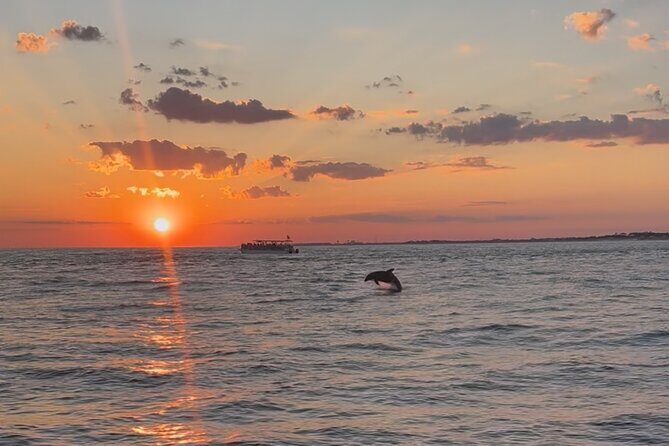 Destin Private Boat Tours Dolphin Crab Island Snorkel Sunset - What Makes This Tour Stand Out?
