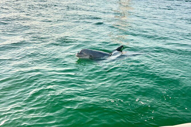 Destin Private Boat Tours Dolphin Crab Island Snorkel Sunset - Evaluating the Price: Is It Worth It?