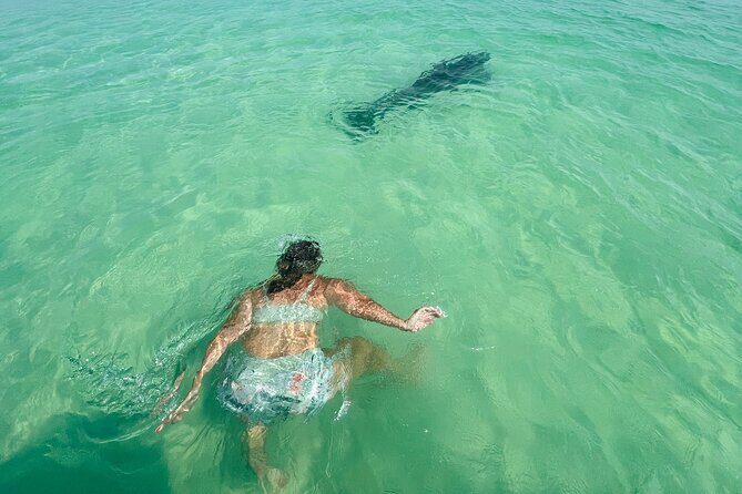 Destin Private Boat Tours Dolphin Crab Island Snorkel Sunset - FAQs