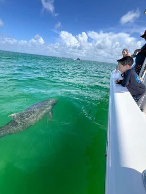 Destin: Private Morning Dolphin Cruise - Who Would Enjoy This Tour?