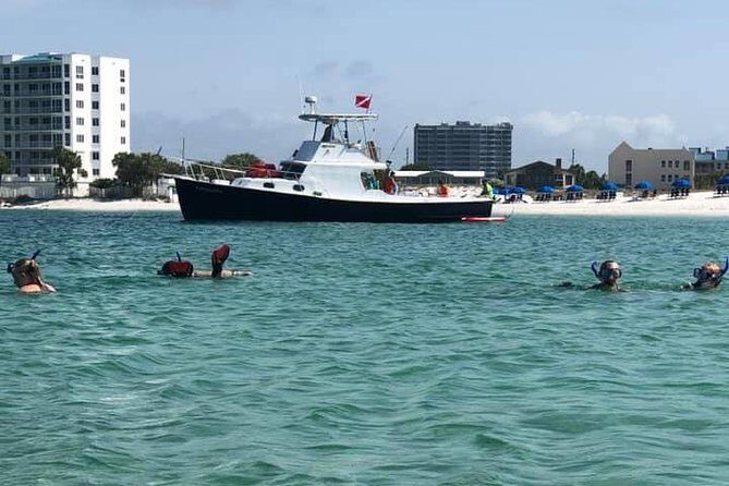Destin: Private Snorkel/Shelling/Eco Excursion for Up to 28 - Key Points