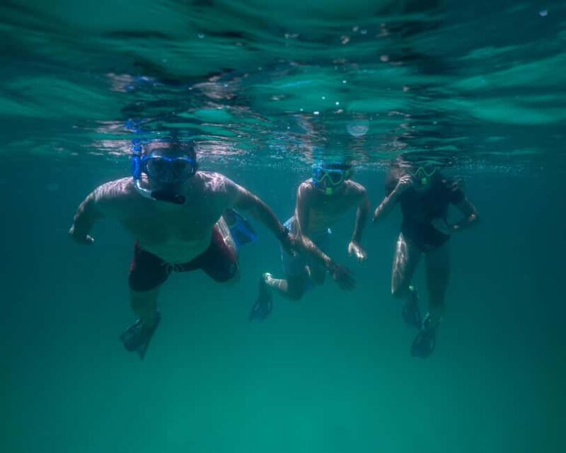 Destin: Reef Snorkeling Adventure - Key Points