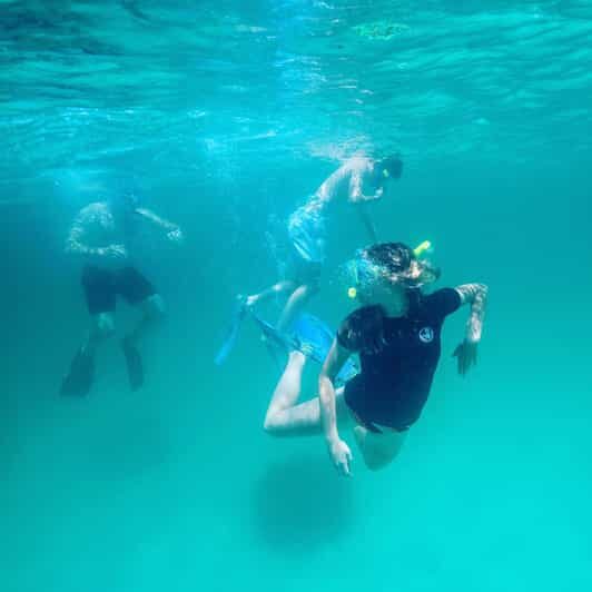 Destin: Snorkeling, Dolphins, and Crab Island - Why This Tour Stands Out