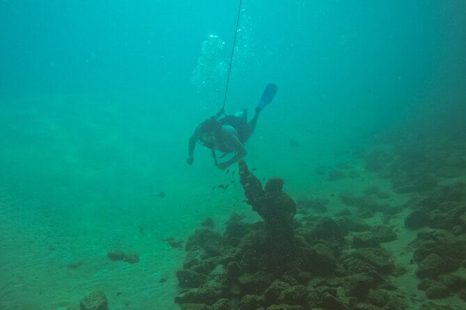 Destin SNUBA Experience - Final Thoughts