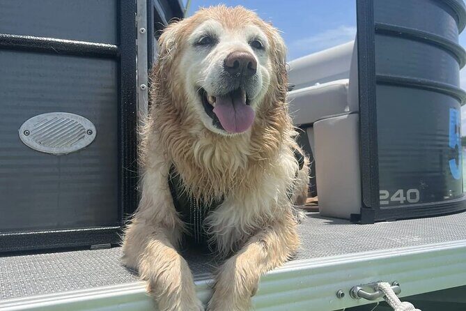 Destin X 12 Passenger Pontoon Rental Departing from Destin Harbor - FAQ