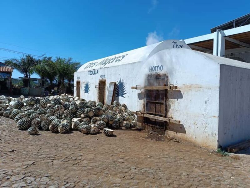 Destino Tequila: Experiencia Premier Privada - From Distillery Secrets to Cultural Gems: What the Tour Includes