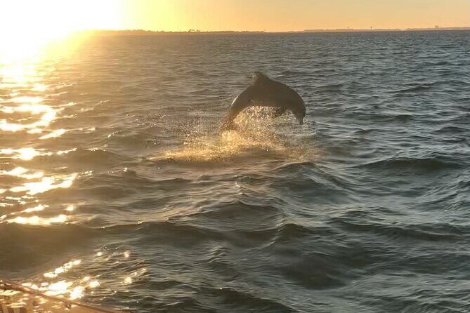 Destin's Floating Tiki Bar Cruise: 360° Harbor Views - Practical Tips for Future Travelers