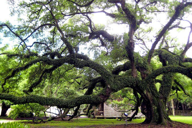 Destrehan Plantation Tour - FAQ