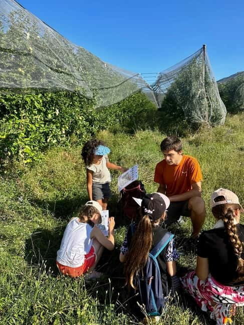 Detective Club: a nature investigation game for the whole family! - Introduction: A Unique Family Adventure in Provence