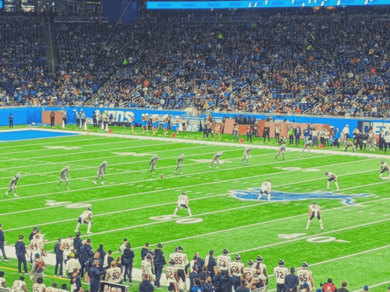 Detroit: Detroit Lions Football Game at Ford Field - The Sum Up: Who Is This Experience Best For?