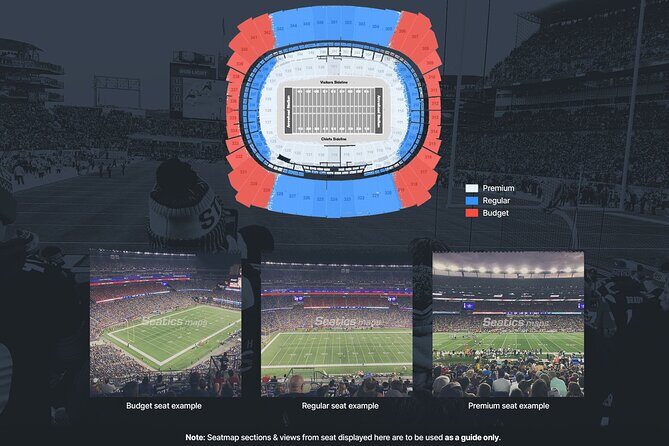 Detroit Lions Football Game Ticket at Ford Field - The Sum Up: Who Is This Tour Best For?