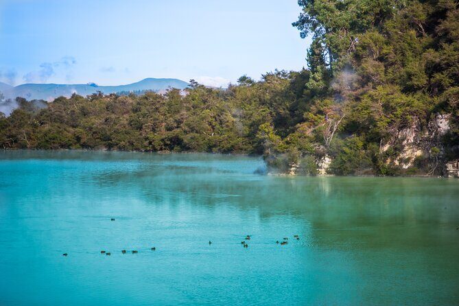 Devil's Bath Experience - Private Tour to Wai-O-Tapu & Lake Taupo - Return Journey & Reflection