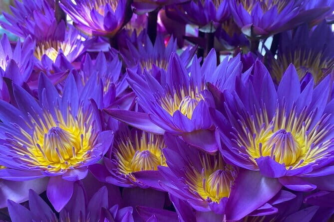 Devi's PRIVATE FOOD (Traditional & Fusion) TOUR in Galle Fort - The Authentic Flavor of Galle Fort