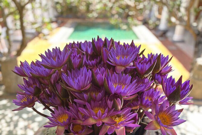 Devi's Walking Food & Cultural Tour in Galle Fort (late lunch in) - An In-Depth Look at the Tour Experience