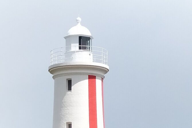 Devonport Area Wine and Chocolate Tour - Who Will Love This Tour?