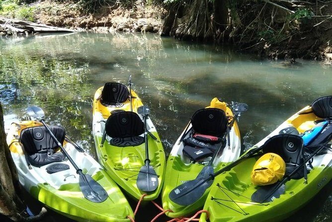 DG Tours - Full-Day Private Tour Experience - The Sum Up