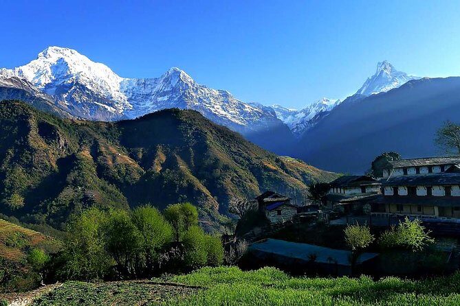 Dhampus trek - How the Dhampus Trek Unfolds