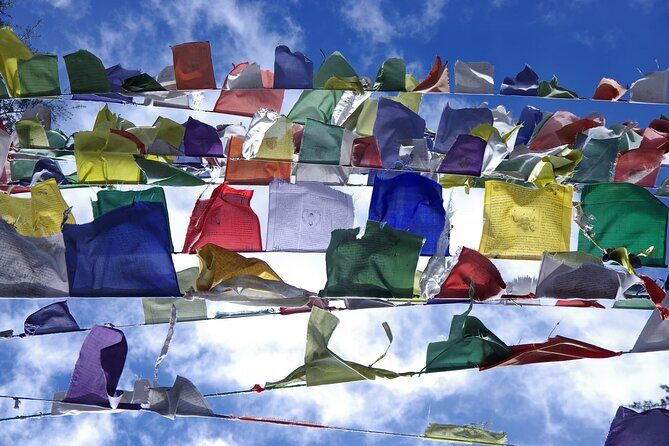 Dharamsala: A Spiritual Journey through the Himalayas - Introduction: What This Tour Offers