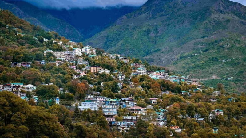 Dharamsala Half Day Sightseeing Tour - The Itinerary: A Closer Look
