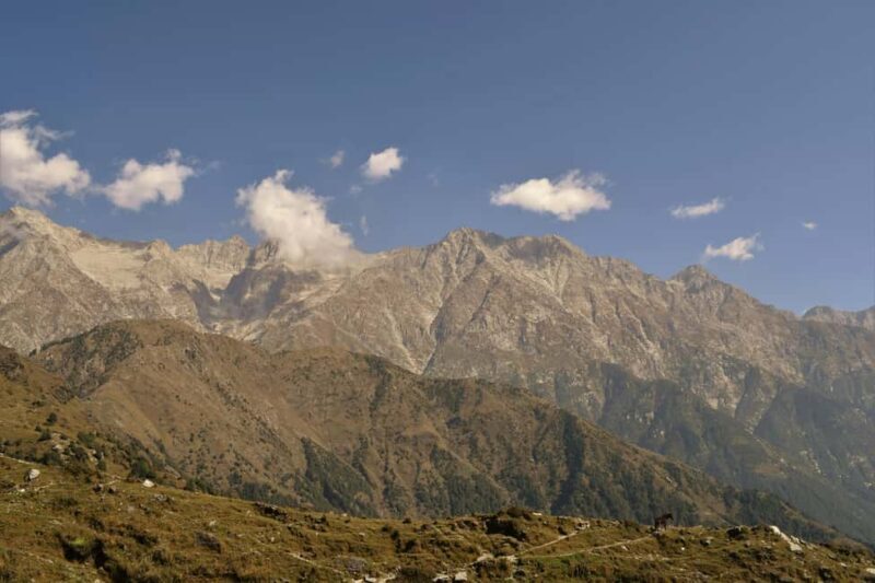 Dharamshala: 5-Day Guided City Tour with Triund Hike - The Bottom Line