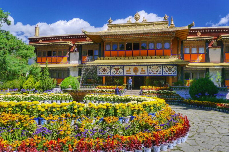 Dharamshala Full Day Tour - Why Choose This Tour?