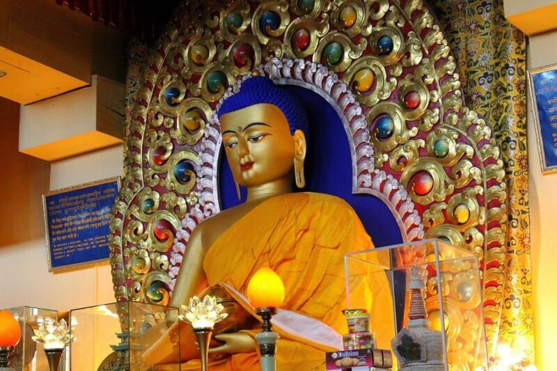 Dharamshala Full Day Tour - Exploring Monasteries and Cultural Preservation