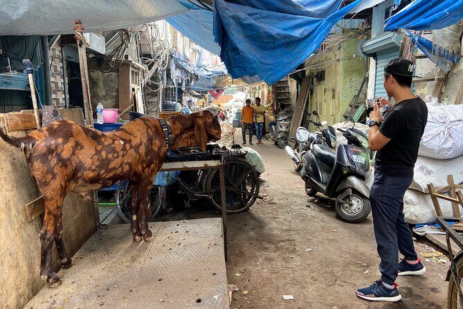 Dharavi Slum Tour in Mumbai with Combo Packages & Transfers - FAQs