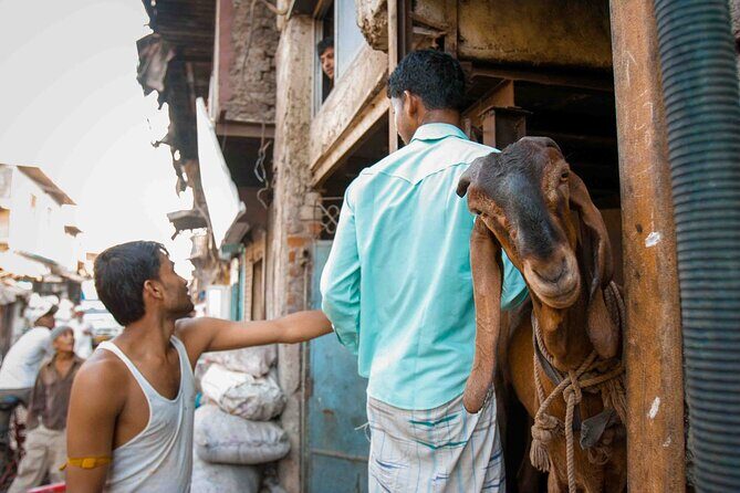Dharavi Tour Including Car Transfer - Practical Considerations: Transport and Timing
