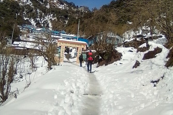 Dhaulagiri Circuit Trek - 17 Day - Authentic Experiences & Traveler Feedback