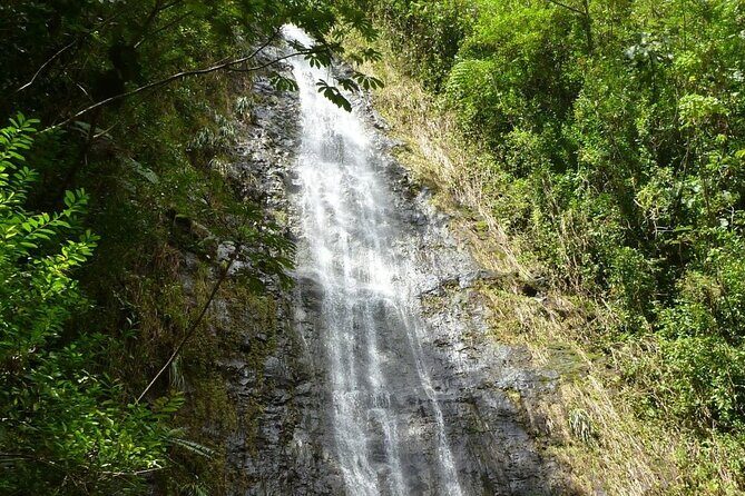Diamond Head and Manoa Falls Hike and Adventure Tour - The Practical Side: Logistics and Considerations