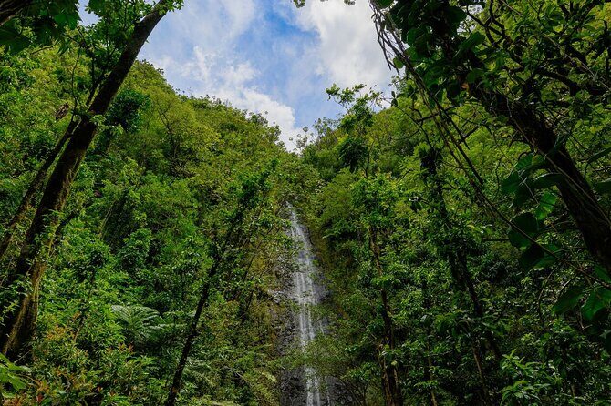 Diamond Head and Manoa Falls Hike and Adventure Tour - The Sum Up