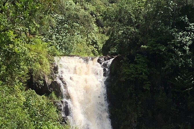 Diamond head crater trail , Sightseeing & South Side beach day - Practical Tips for Booking